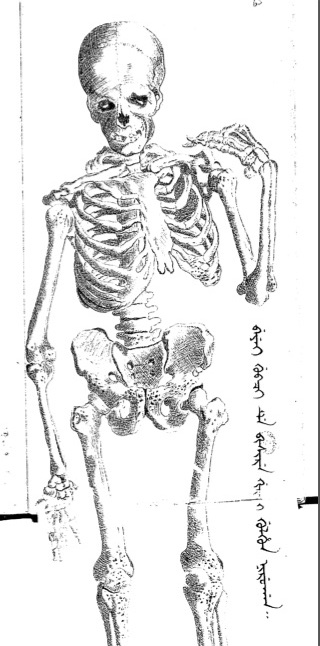 Prepositional Bodies: The Manchu Anatomy – Carla Nappi